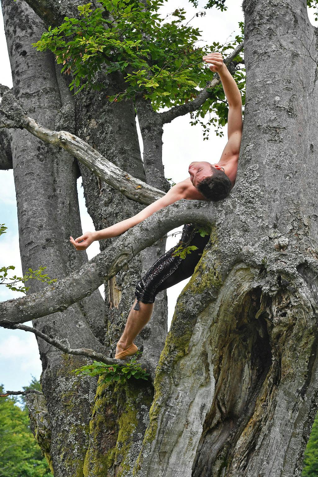 Herbst-Matineen — Heinz-Bosl-Stiftung