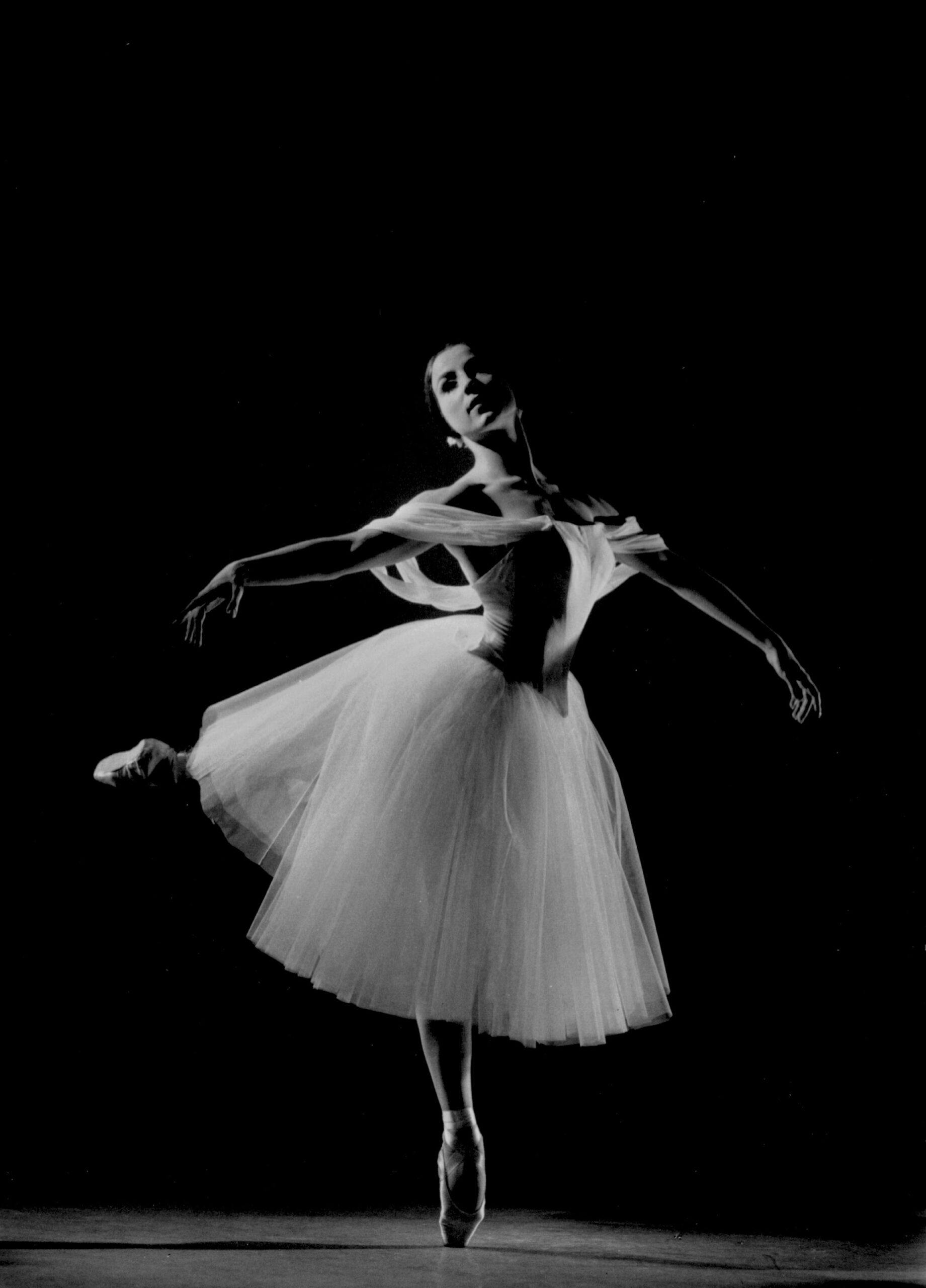 Herbst-Matineen — Heinz-Bosl-Stiftung